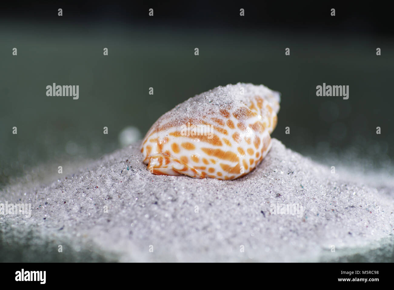 Minerals of various sizes and shapes, from sand to marble to gemstones ...