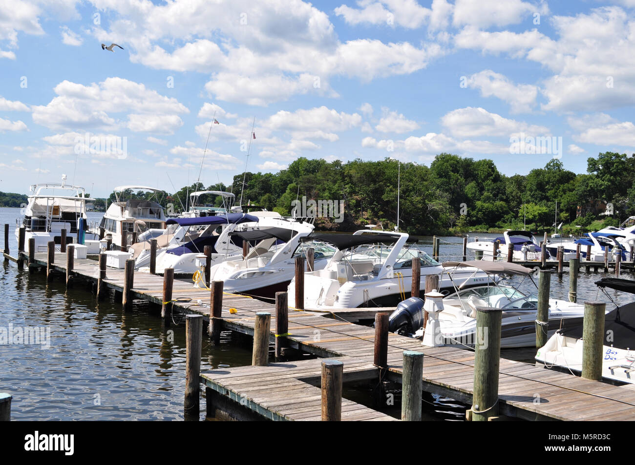 Annapolis City Marina Stock Photos & Annapolis City Marina Stock Images ...