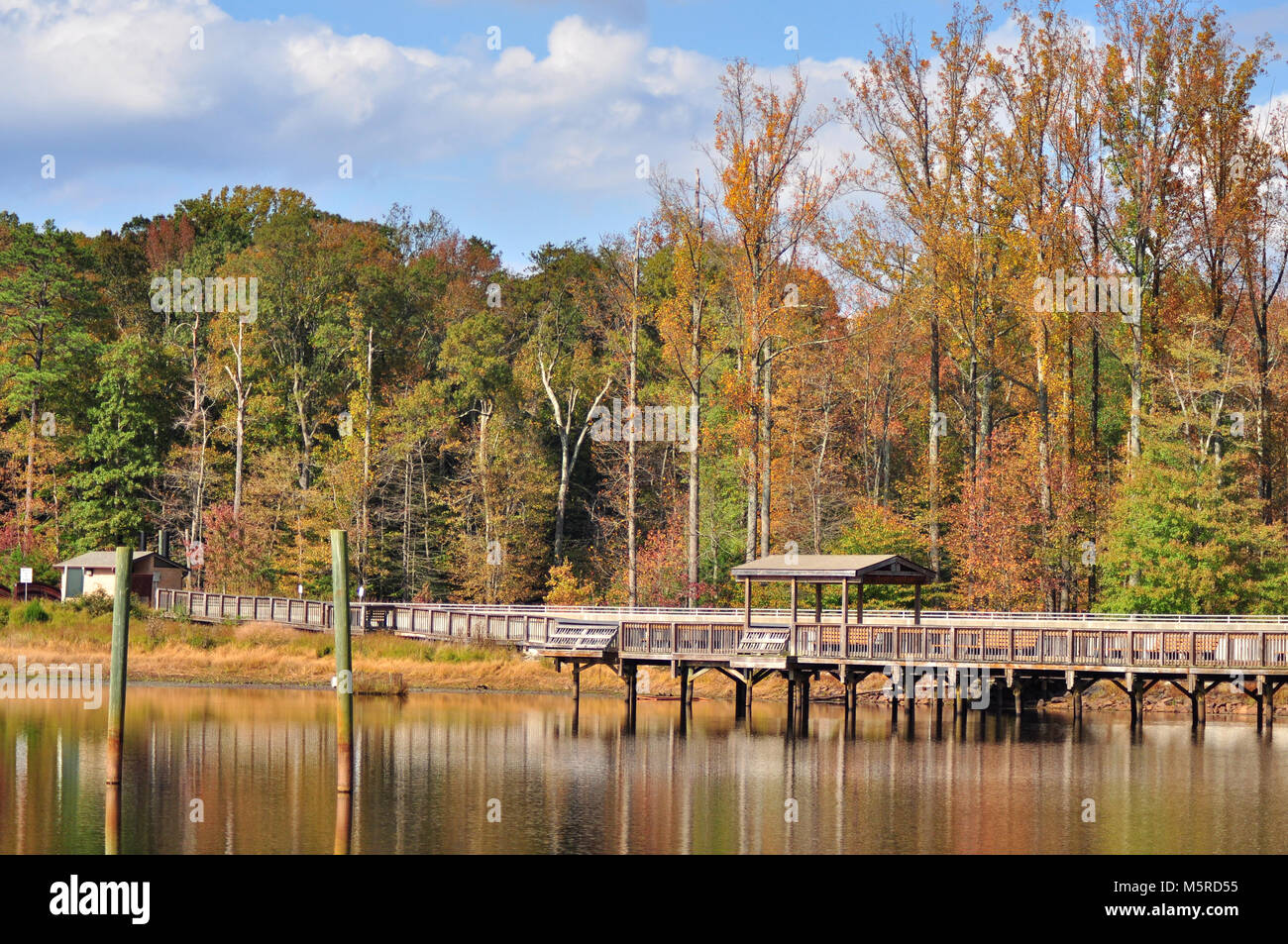Fall at Patuxent Wildlife Refuge Stock Photo - Alamy