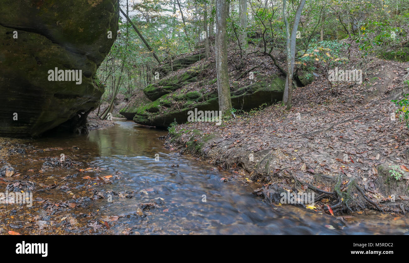 A creek winding through Dismals Canyon in Franklin County, Alabama ...