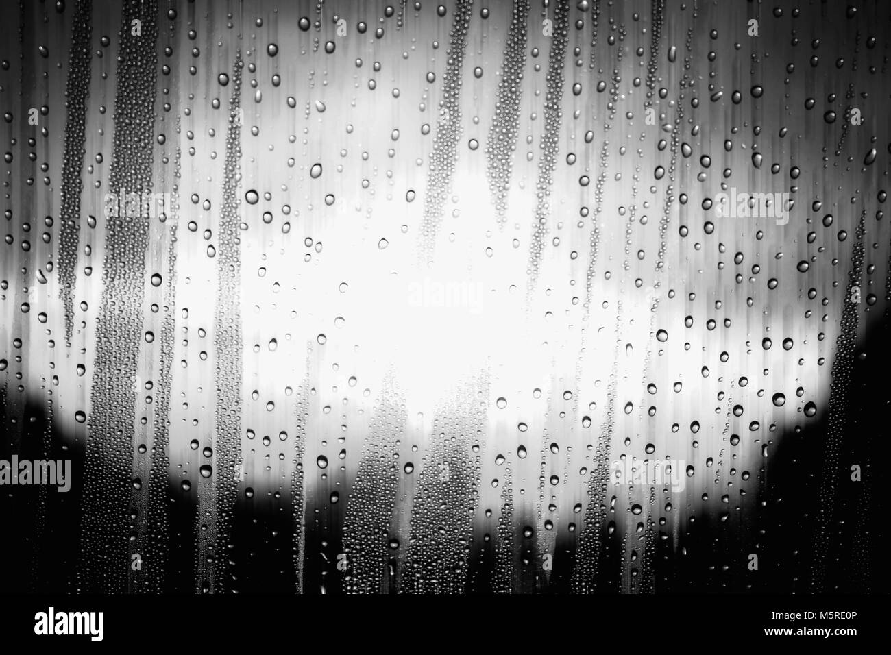 Water Drops On Glass Black And White