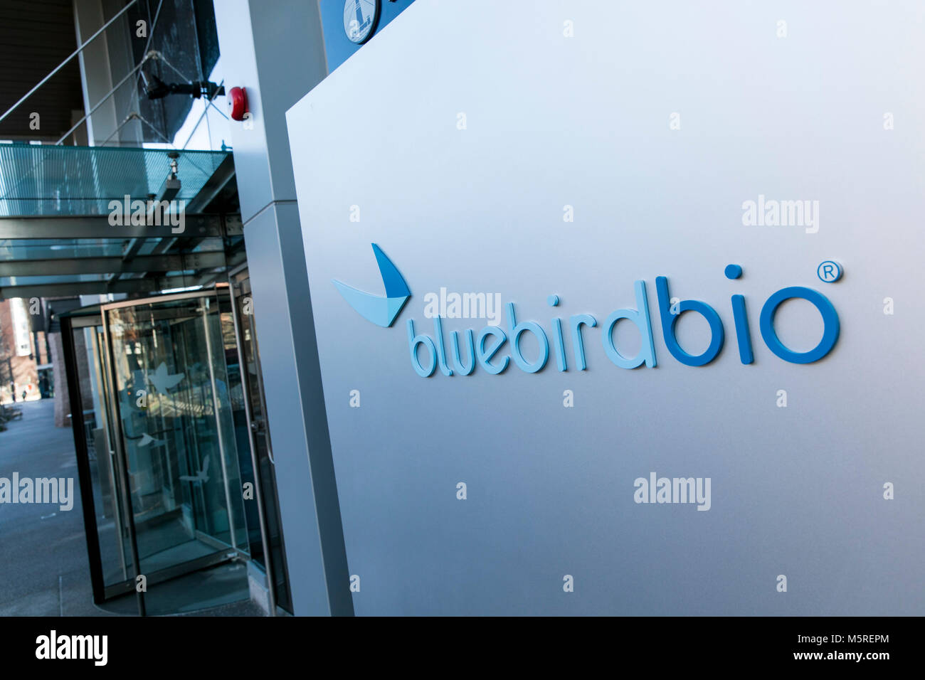 A logo sign outside of the headquarters of Bluebird Bio in Cambridge ...