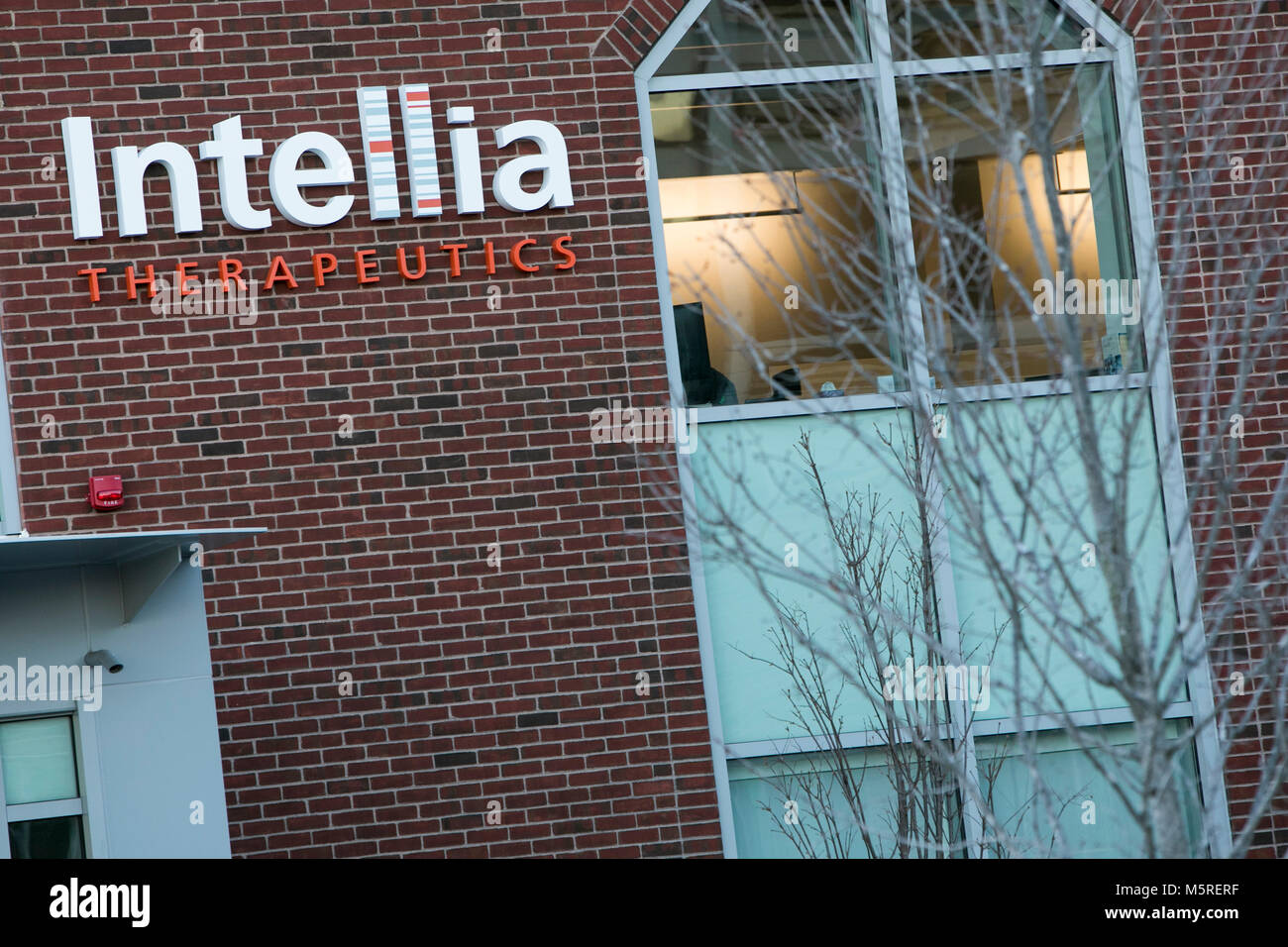Intellia therapeutics hi-res stock photography and images - Alamy