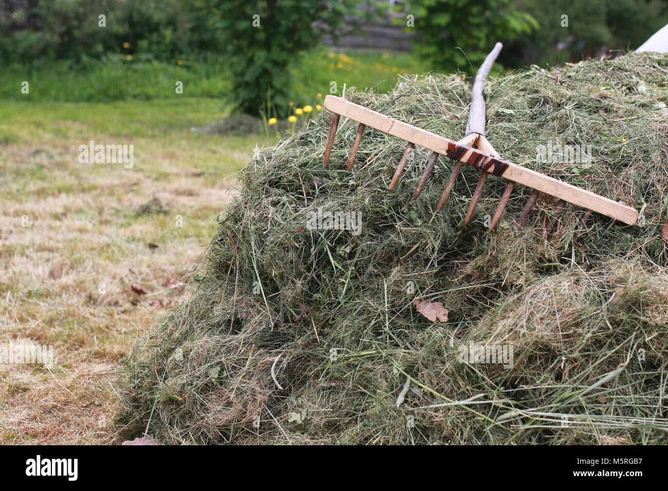 Senior farmer cleaning garden hi-res stock photography and images - Alamy