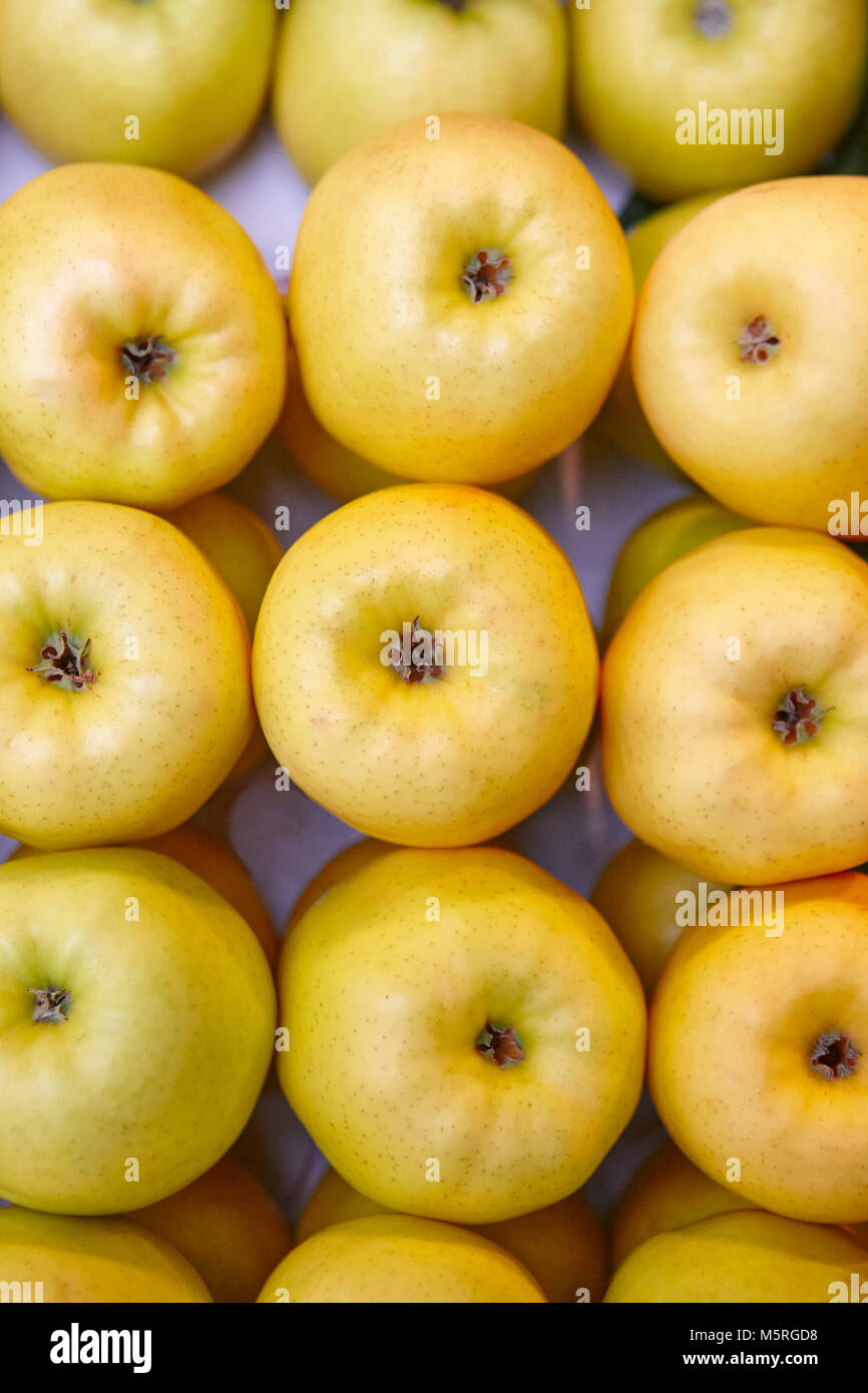 Agriculture vertical hi-res stock photography and images - Alamy