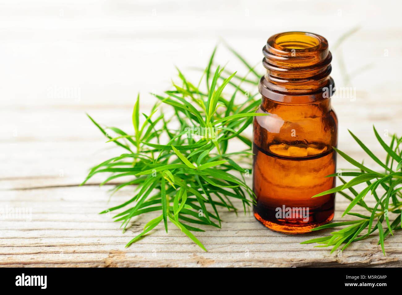 Ti tree oil hi-res stock photography and images - Alamy