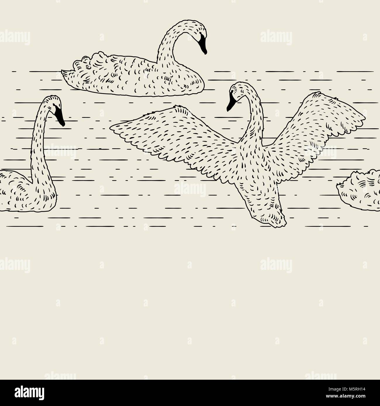 Seamless pattern with floating white swans. Hand drawn birds Stock ...