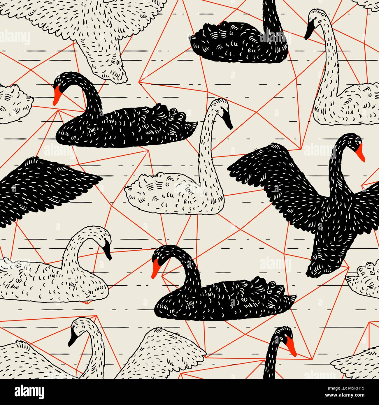 Seamless pattern with floating black and white swans. Hand drawn birds ...