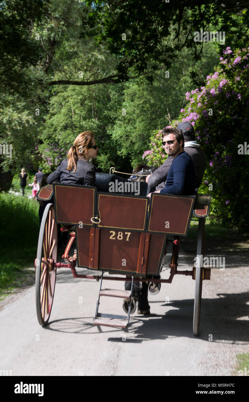 Irish pony asnd cart hi-res stock photography and images - Alamy