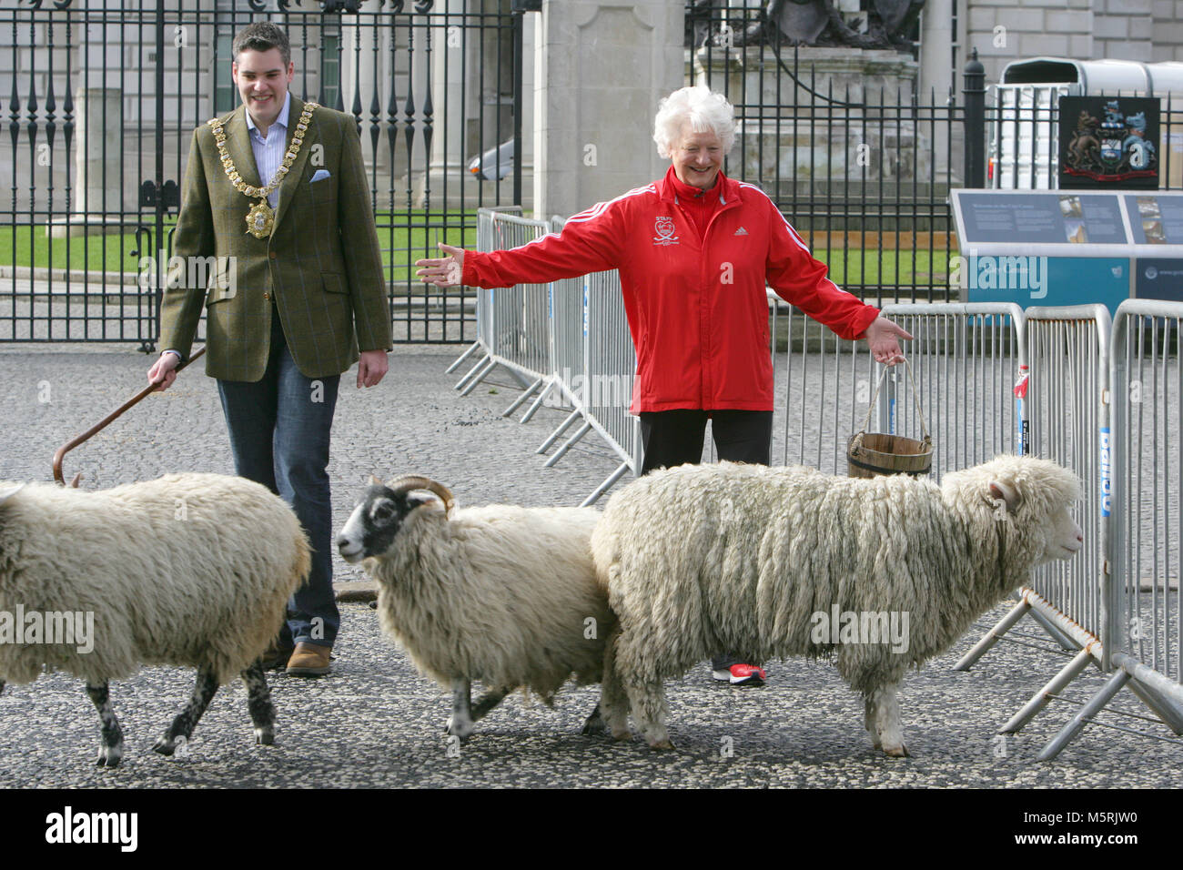 Belfast’s Lord Mayor Gavin Robinson, Dame Mary Peters herd Sheep though ...