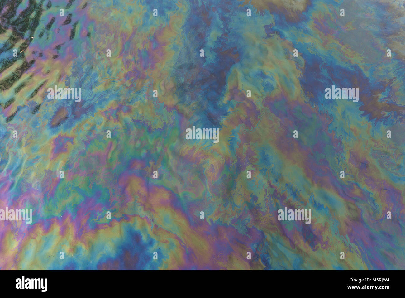 An oil spill in a river. Environment and pollution concept Stock Photo ...