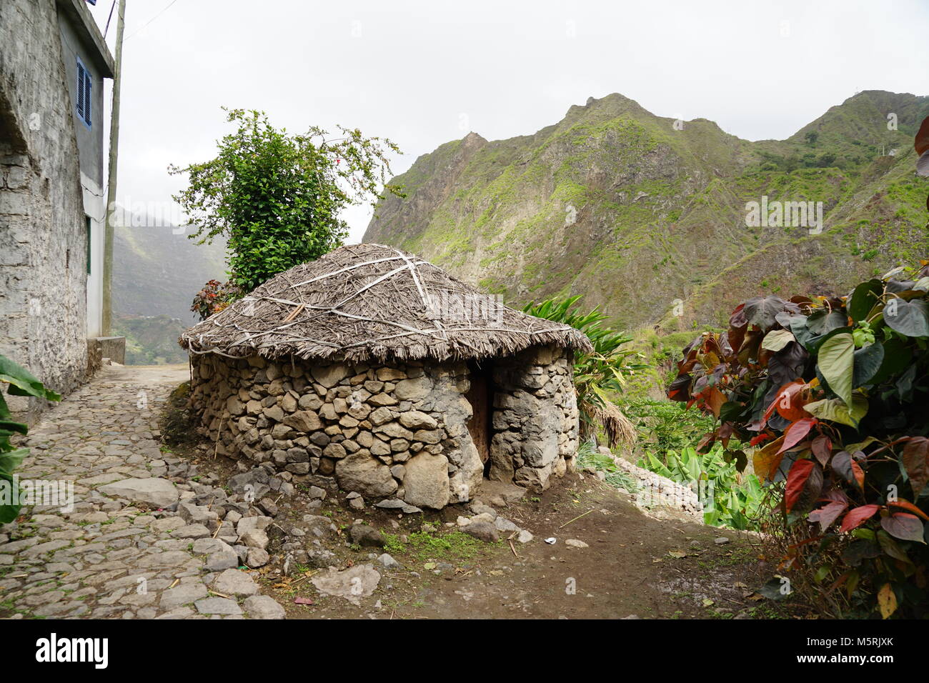 Traditional round house thatched roof hi-res stock photography and ...