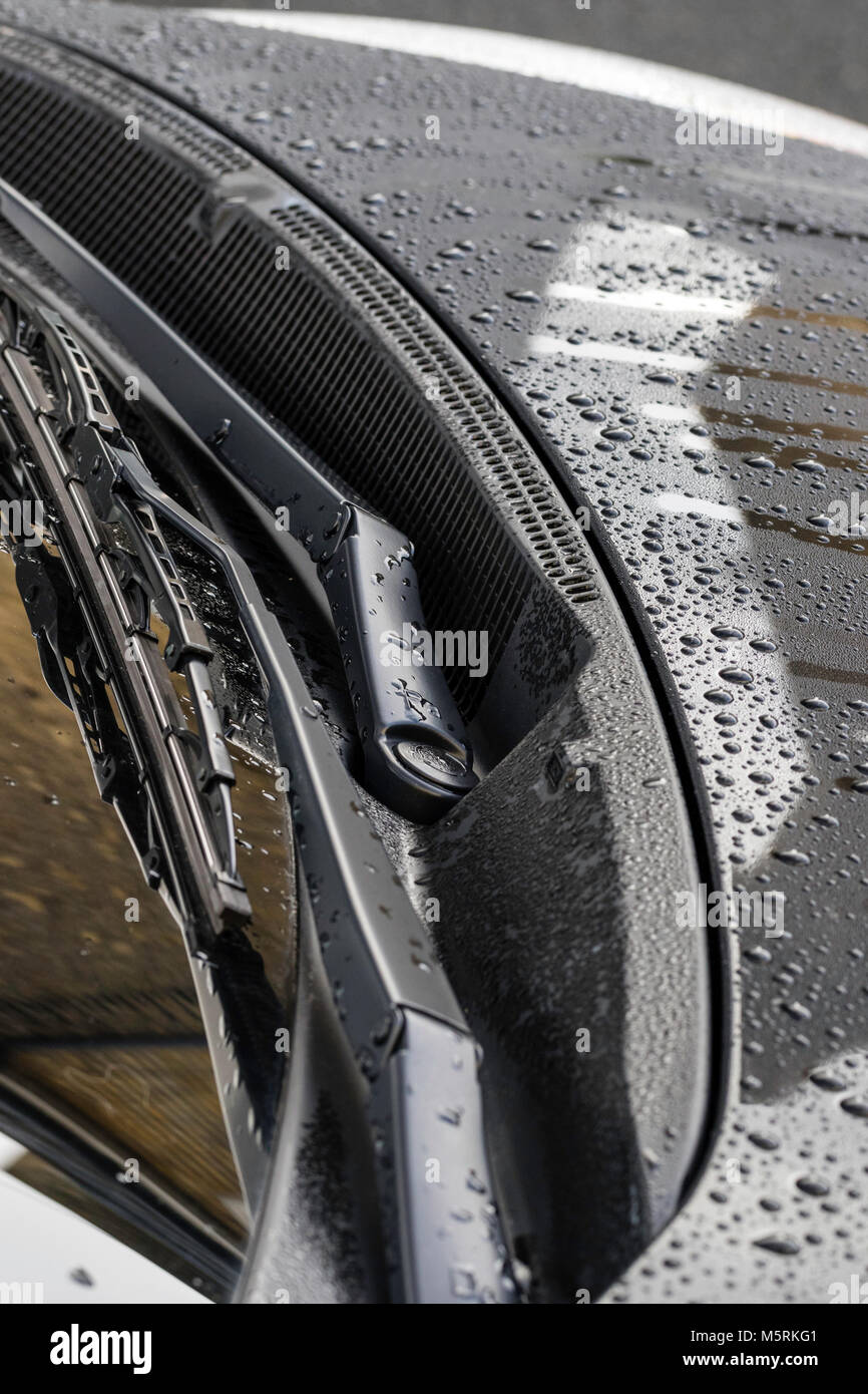 Damp dew hi-res stock photography and images - Alamy