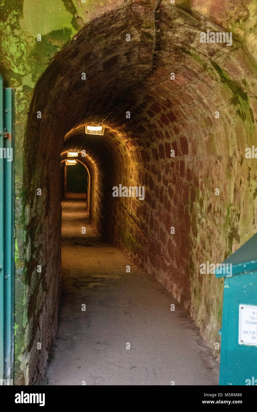 Smugglers tunnel devon hi-res stock photography and images - Alamy