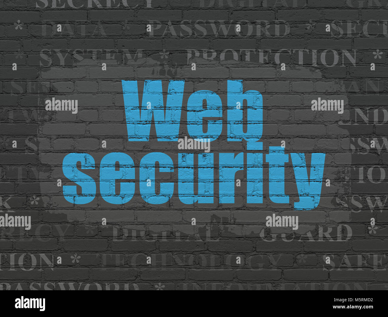 Protection concept: Web Security on wall background Stock Photo - Alamy