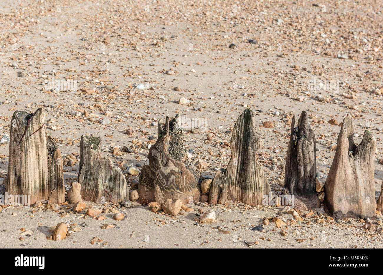 weather worn wood, beach Stock Photo - Alamy