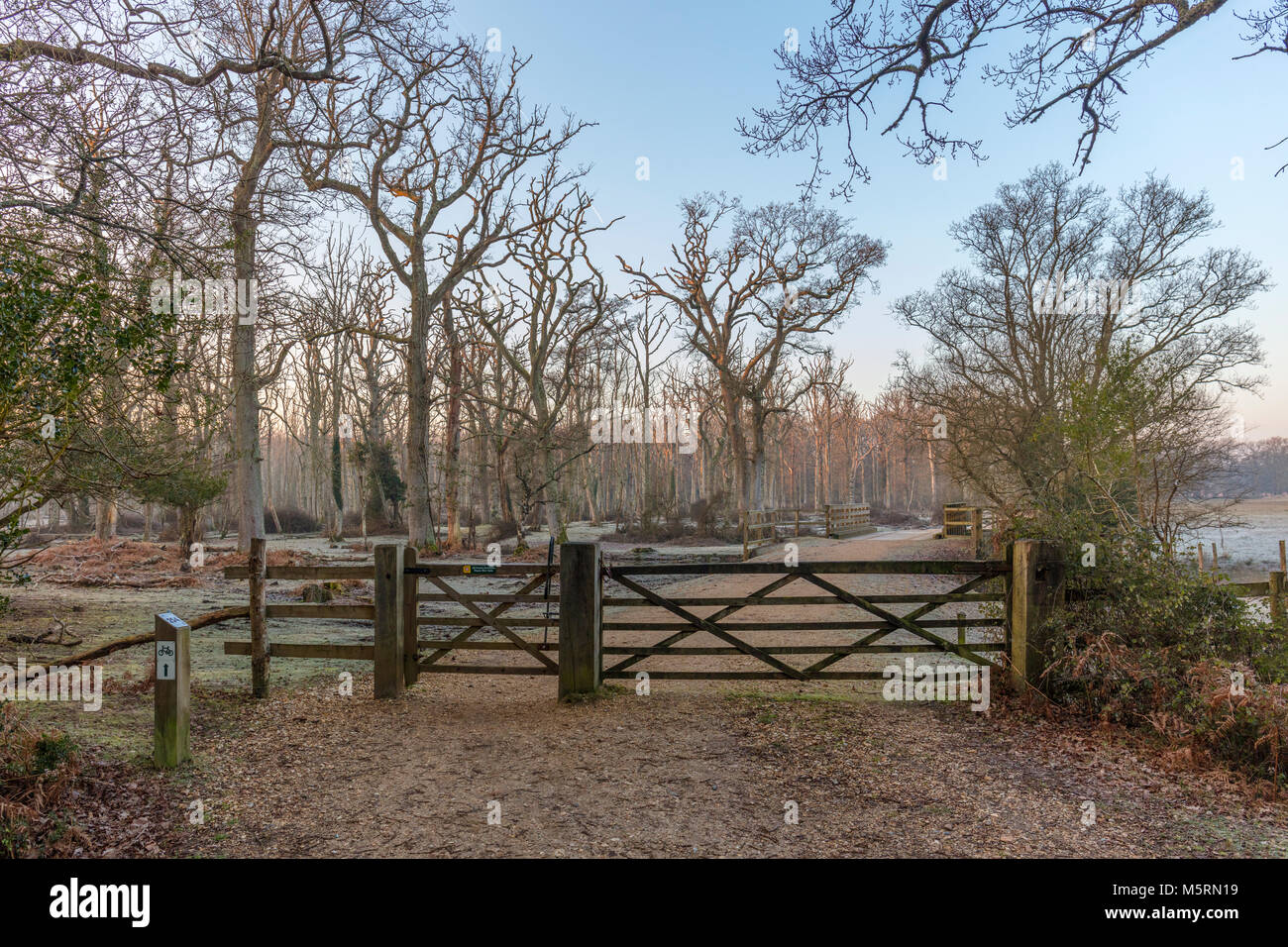 New forest gate new forest hi-res stock photography and images - Alamy