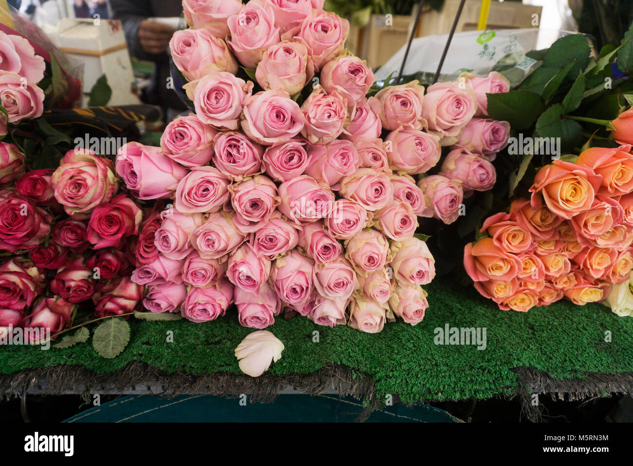 A collection or roses at a flower market Stock Photo - Alamy