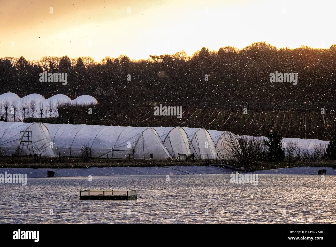 Tuesley Farm, Godalming. 26th February 2018. UK Weather. Easterly winds ...