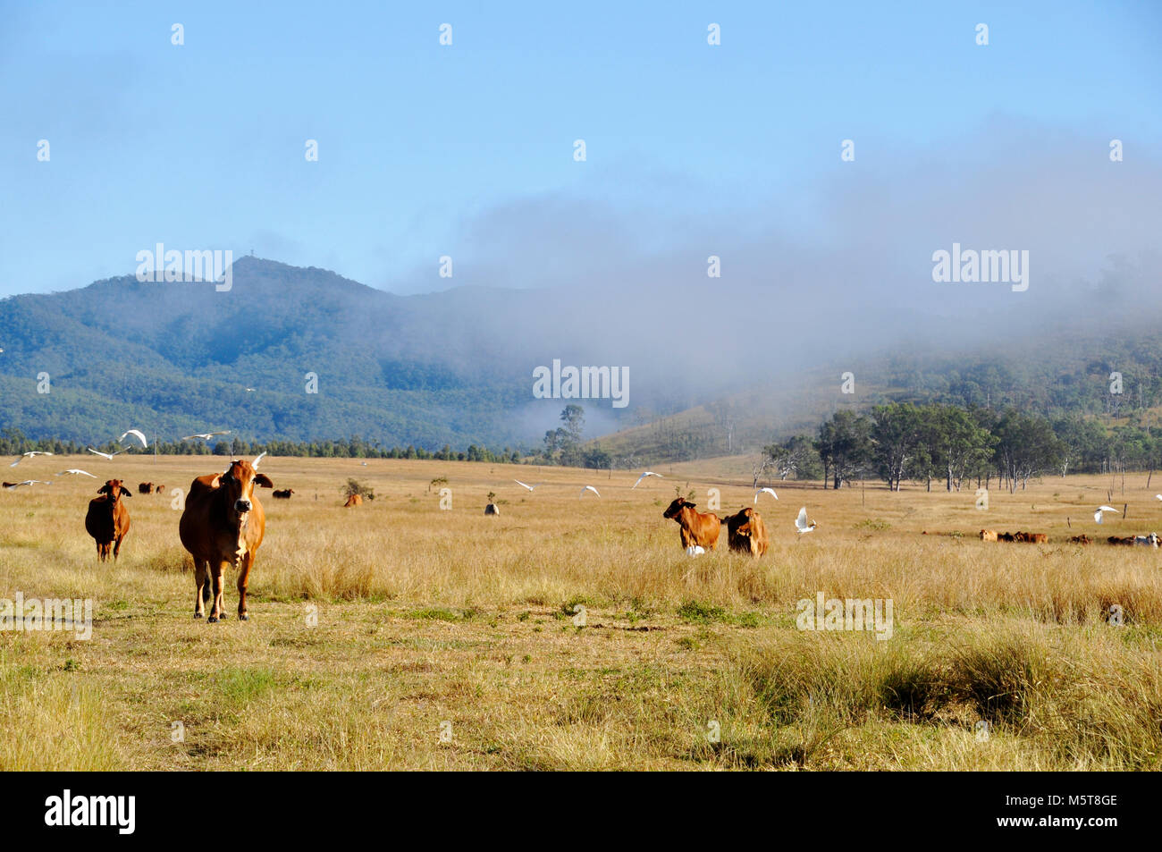 AUSTRALIAN OUTBACK LANDSCAPES Stock Photo - Alamy
