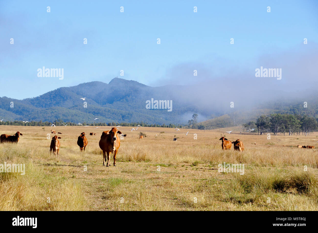 AUSTRALIAN OUTBACK LANDSCAPES Stock Photo - Alamy