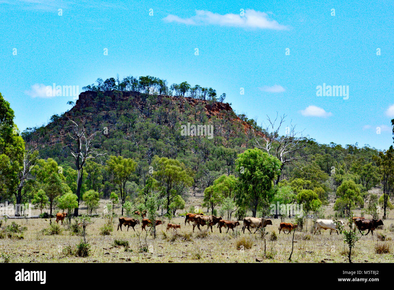 AUSTRALIAN OUTBACK LANDSCAPES Stock Photo - Alamy