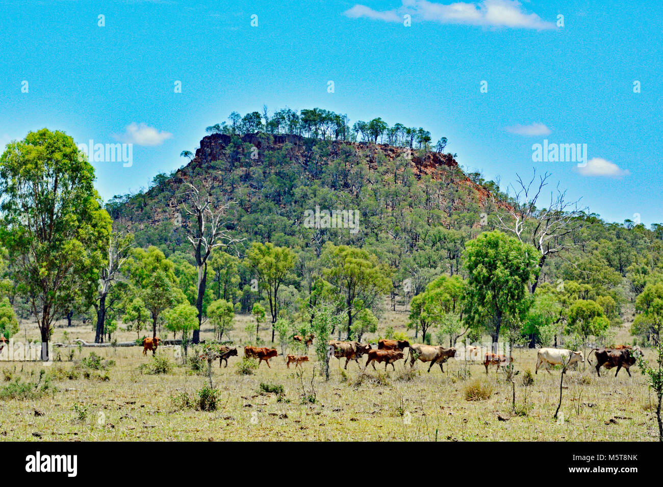 AUSTRALIAN OUTBACK LANDSCAPES Stock Photo - Alamy