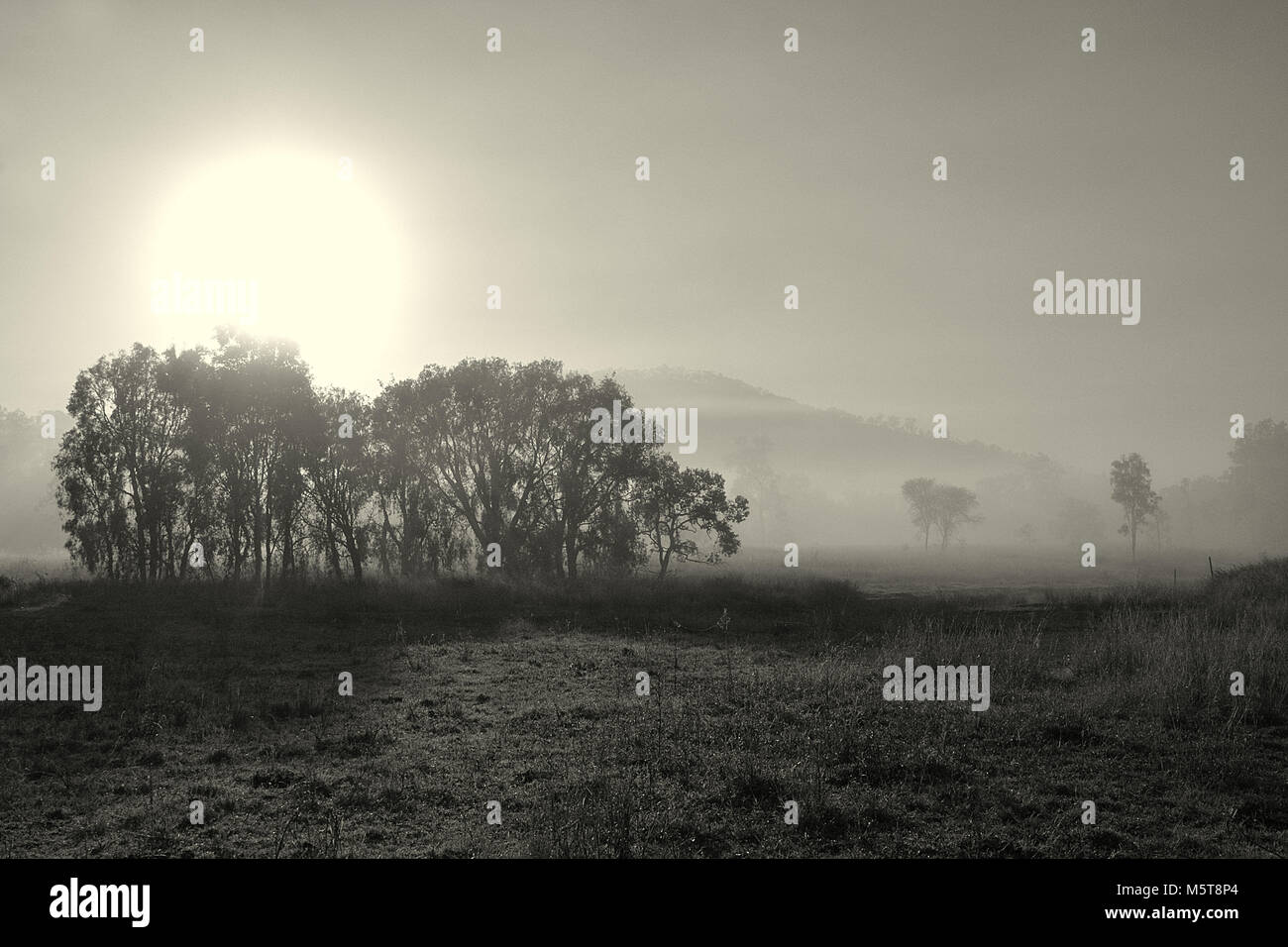 AUSTRALIAN OUTBACK LANDSCAPES Stock Photo - Alamy