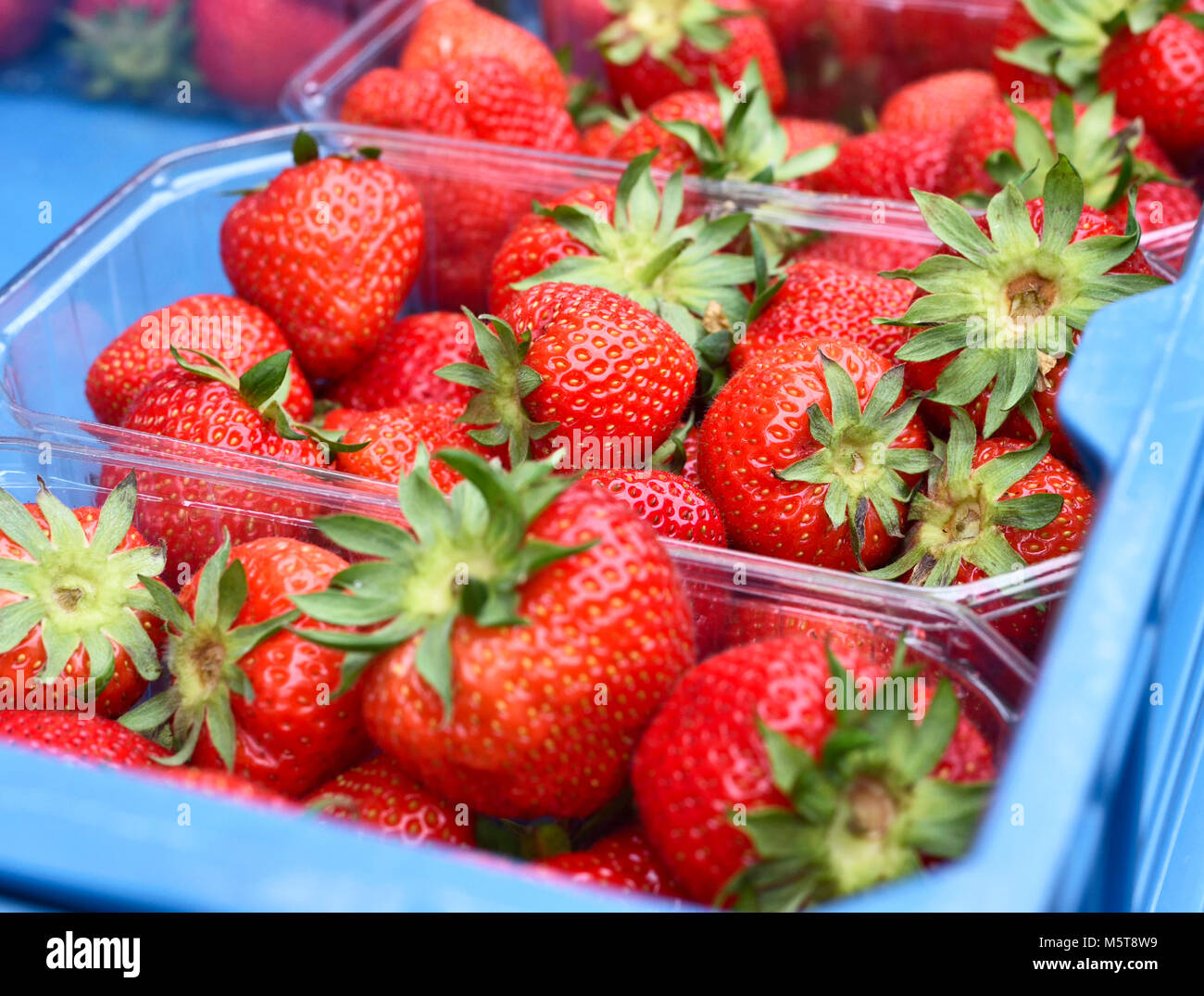 ripe strawberries in boxes. Fresh berry fruits at a market stall ...