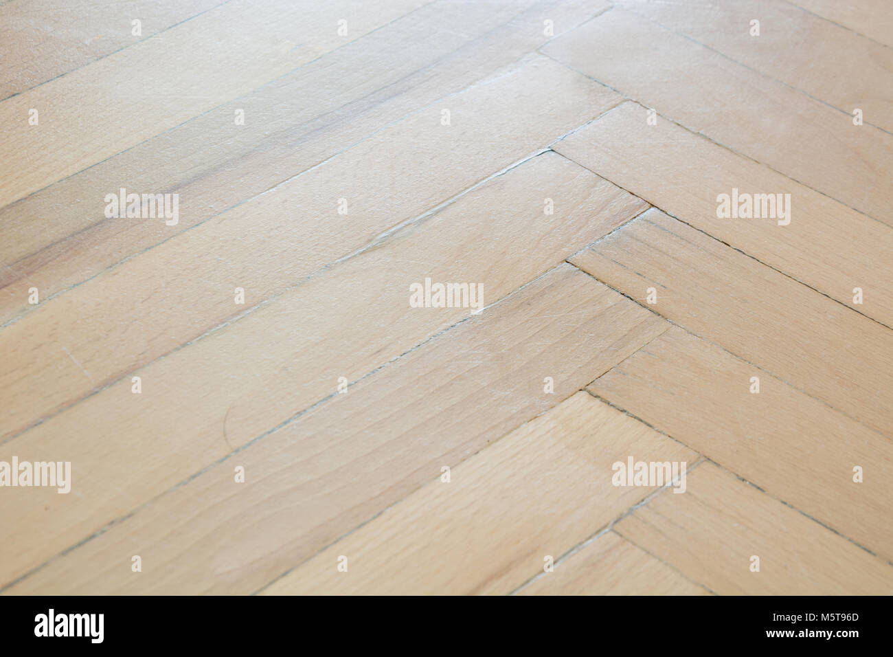 Parquet texture. Pattern. Natural old patterned herringbone of light ...