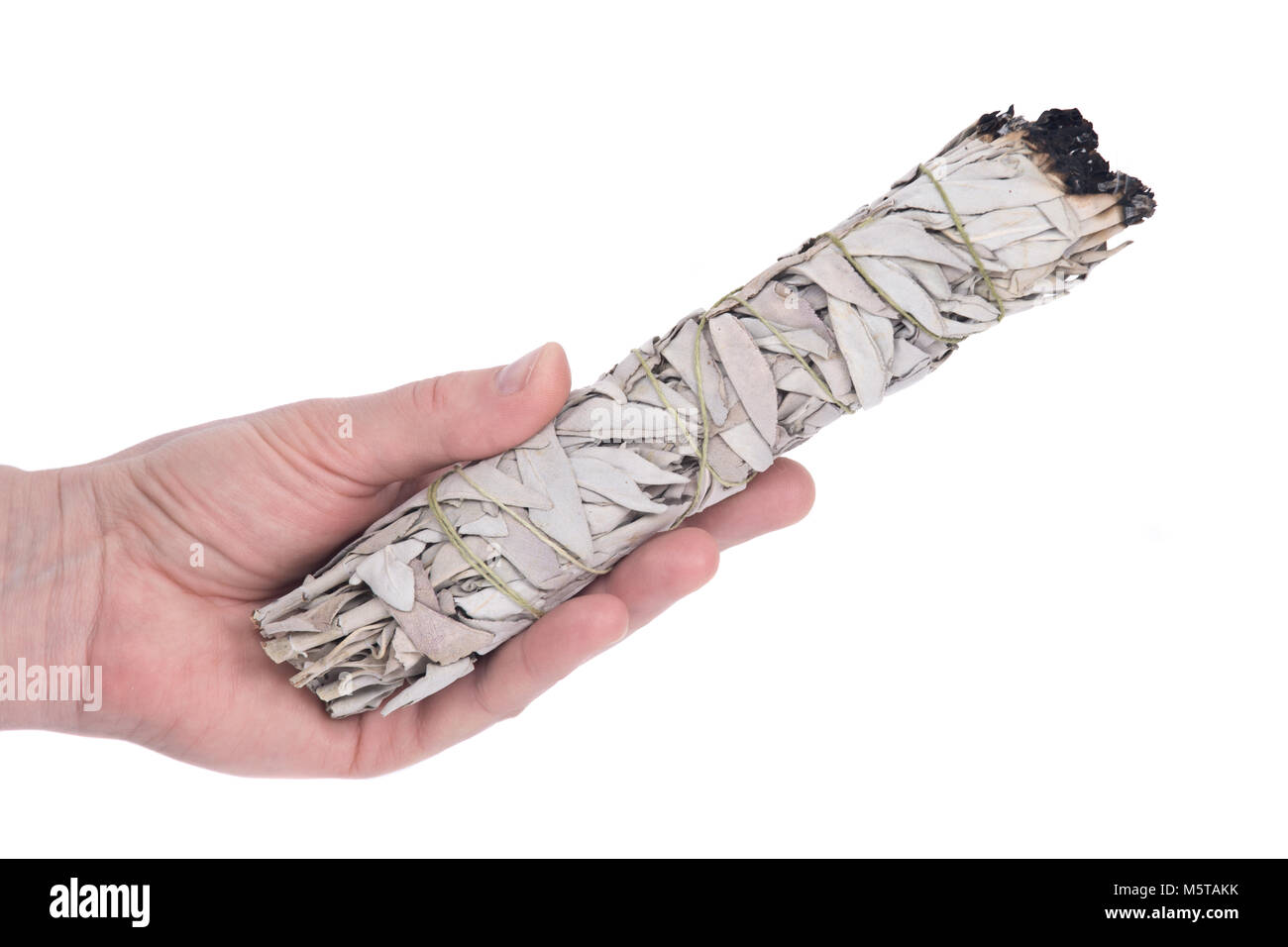 Sage smudge stick isolated on white background Stock Photo - Alamy