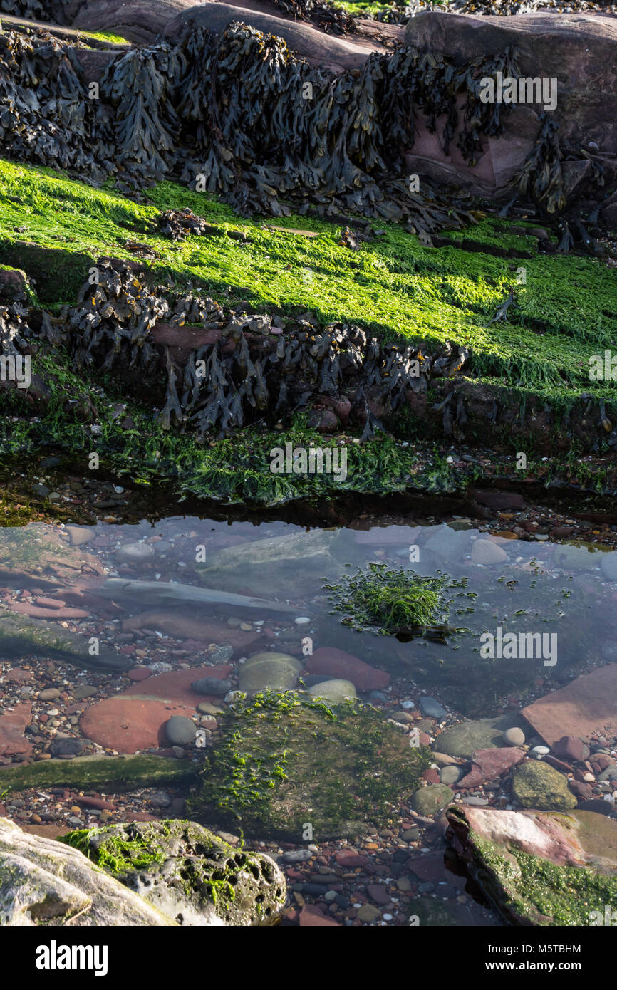 Rock pool above and below hi-res stock photography and images - Alamy