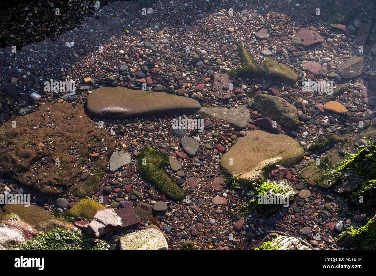 Rock pool above and below hi-res stock photography and images - Alamy