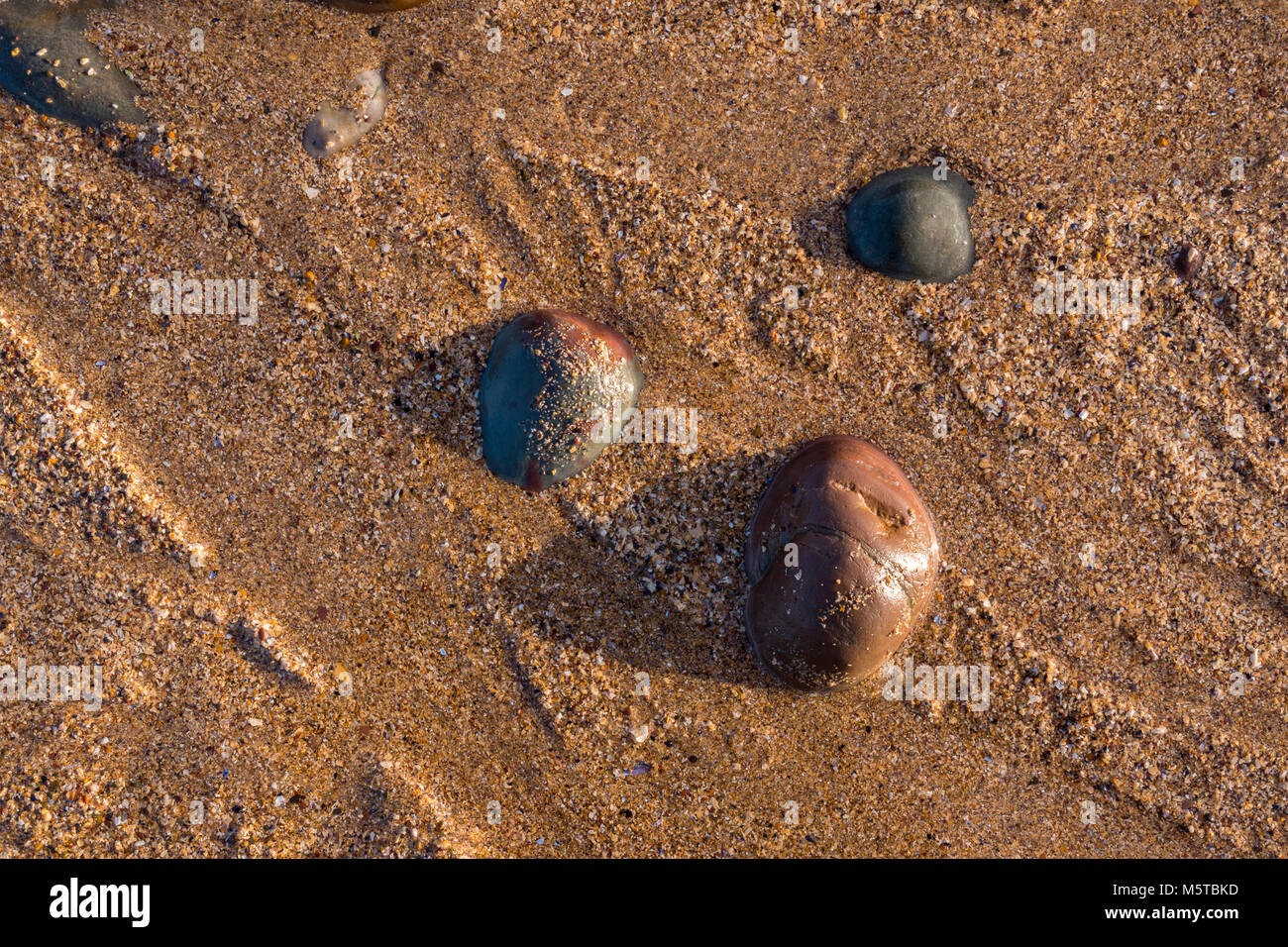 Pebbles in the sand on the beach Stock Photo - Alamy