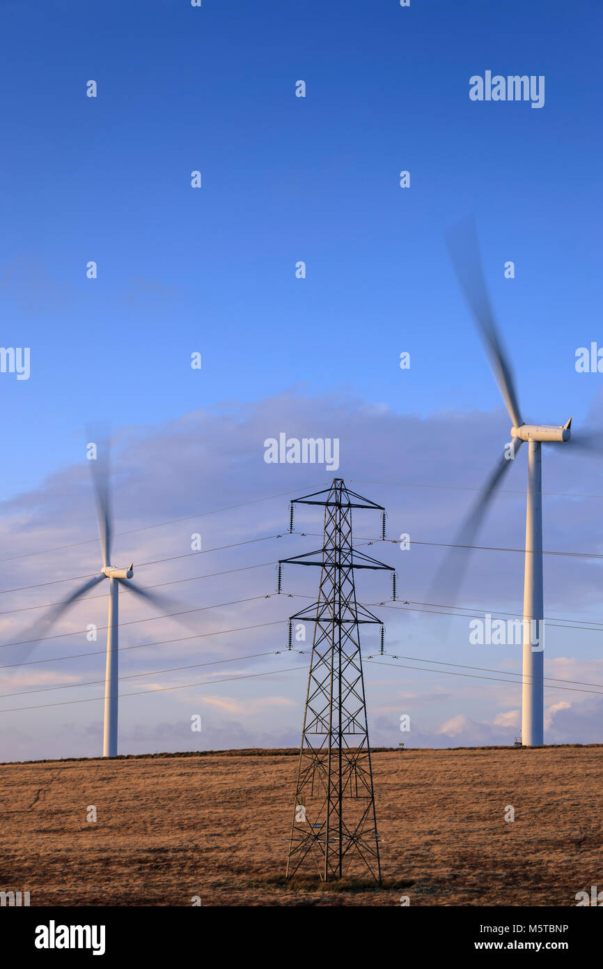Wind turbine and electricity pylon Mynydd y Betws wind farm Amman and ...