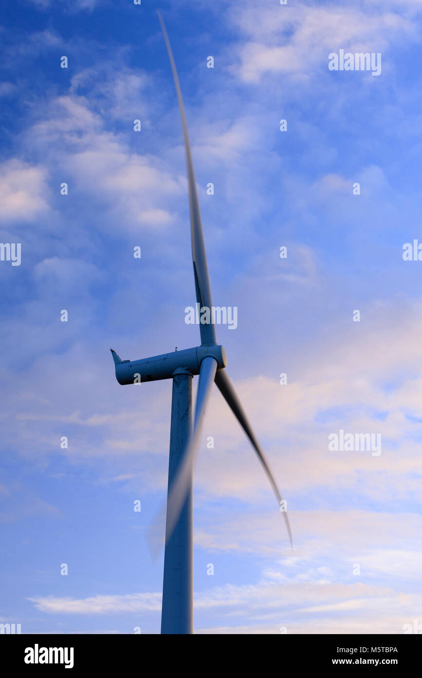 Wind turbine and electricity pylon Mynydd y Betws wind farm Amman and ...