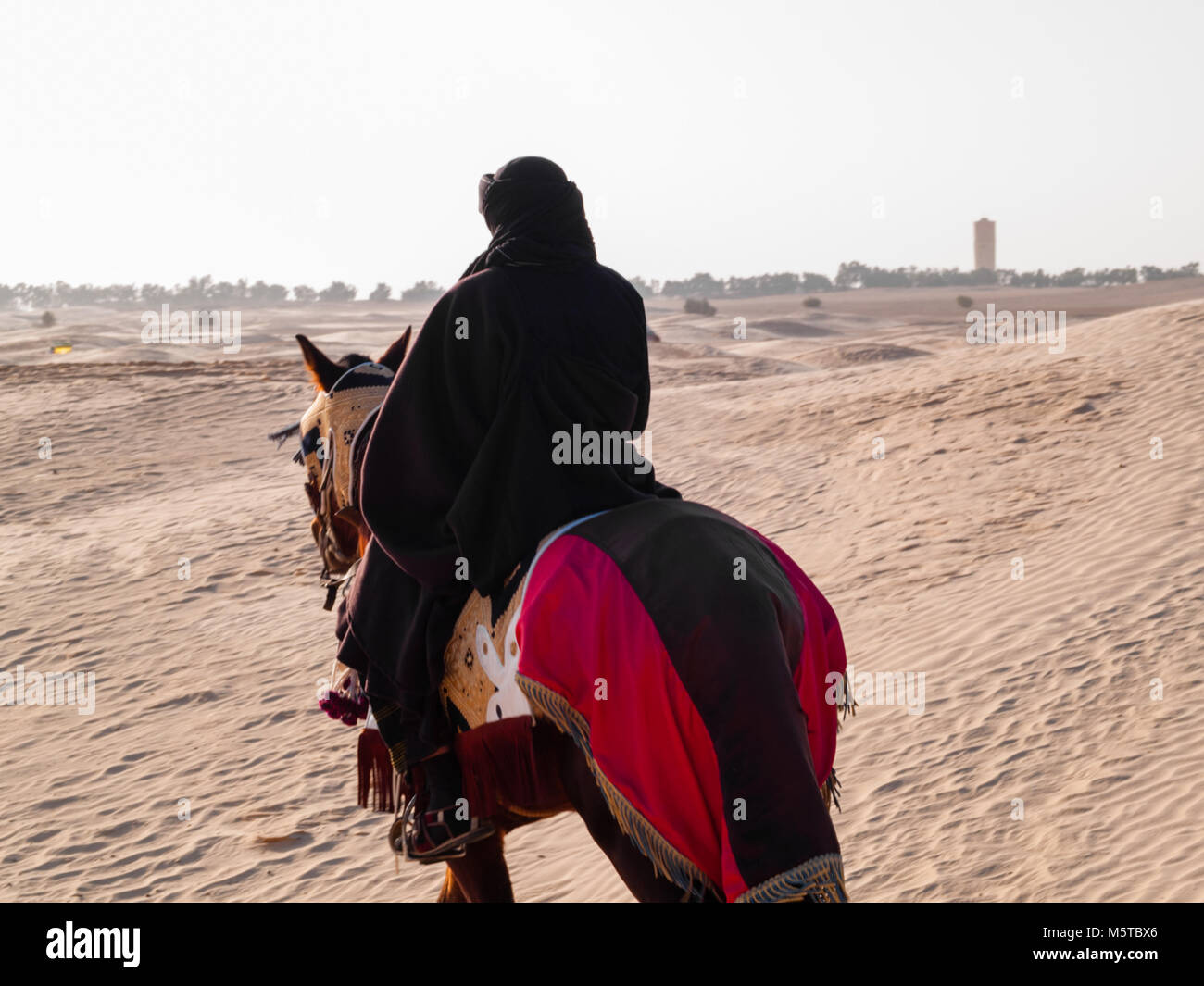 Arabian knight with traditional clothes in the desert at sunset, Douz ...
