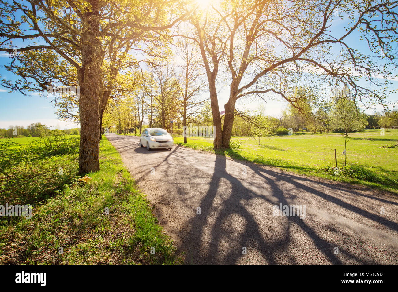 Car on asphalt road in spring Stock Photo - Alamy