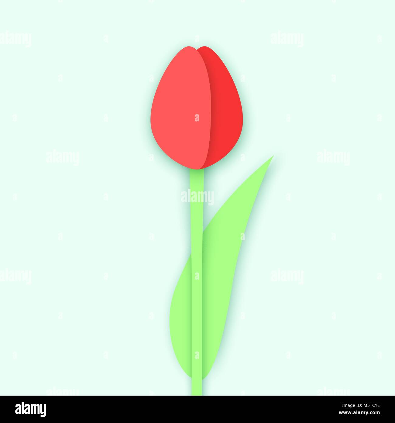 Tulip for cut flower Stock Vector Images - Alamy