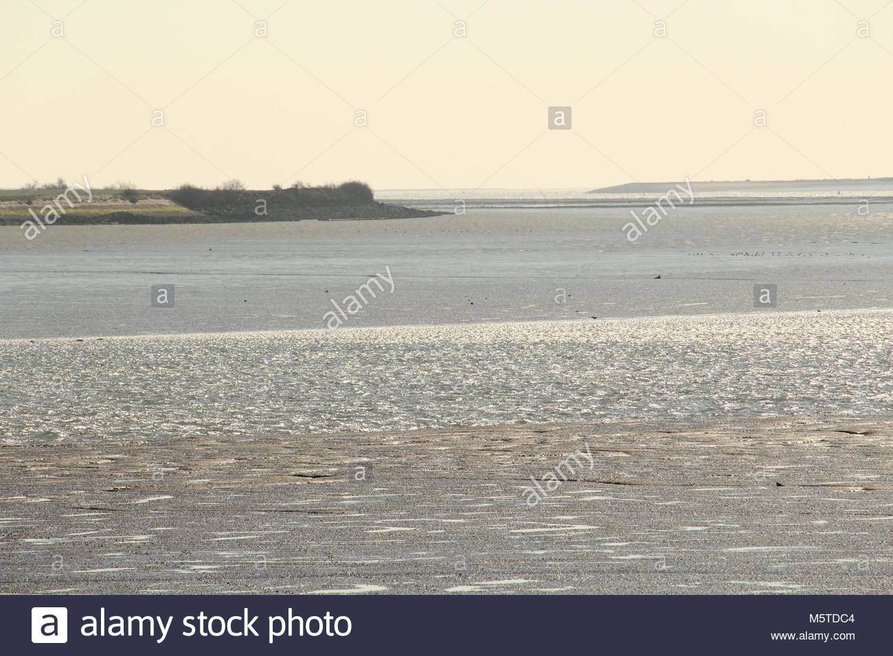 Estuary River Colne Stock Photos & Estuary River Colne Stock Images - Alamy