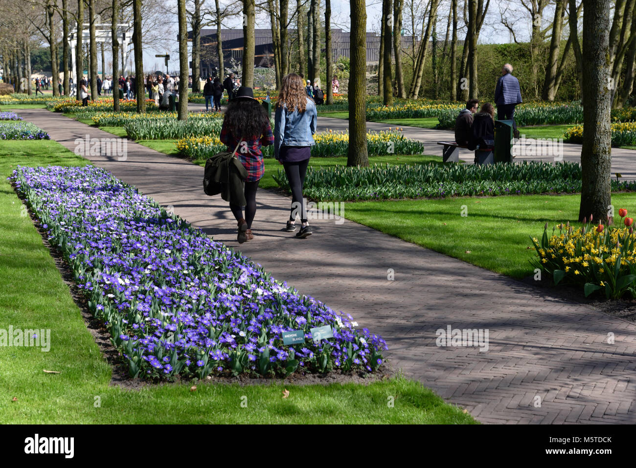 Keukenhof Gardens, Lisse, Holland Stock Photo - Alamy