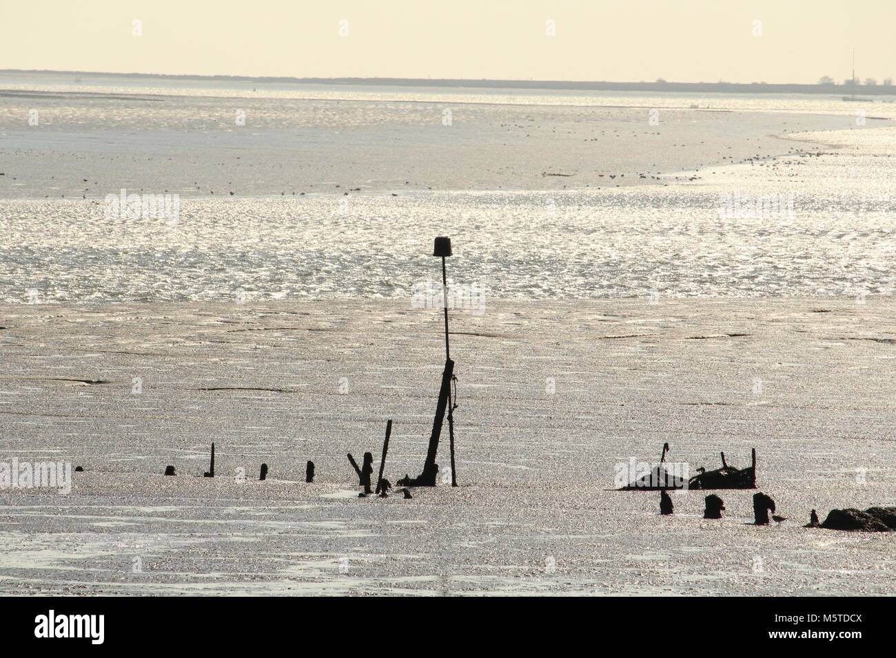 Landscape towards Brightlingsea overlooking Colne Estuary, Colchester ...