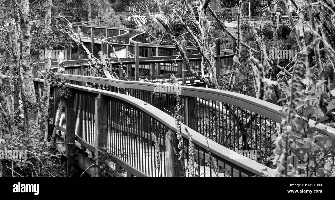 Board walk in black Black and White Stock Photos & Images - Alamy