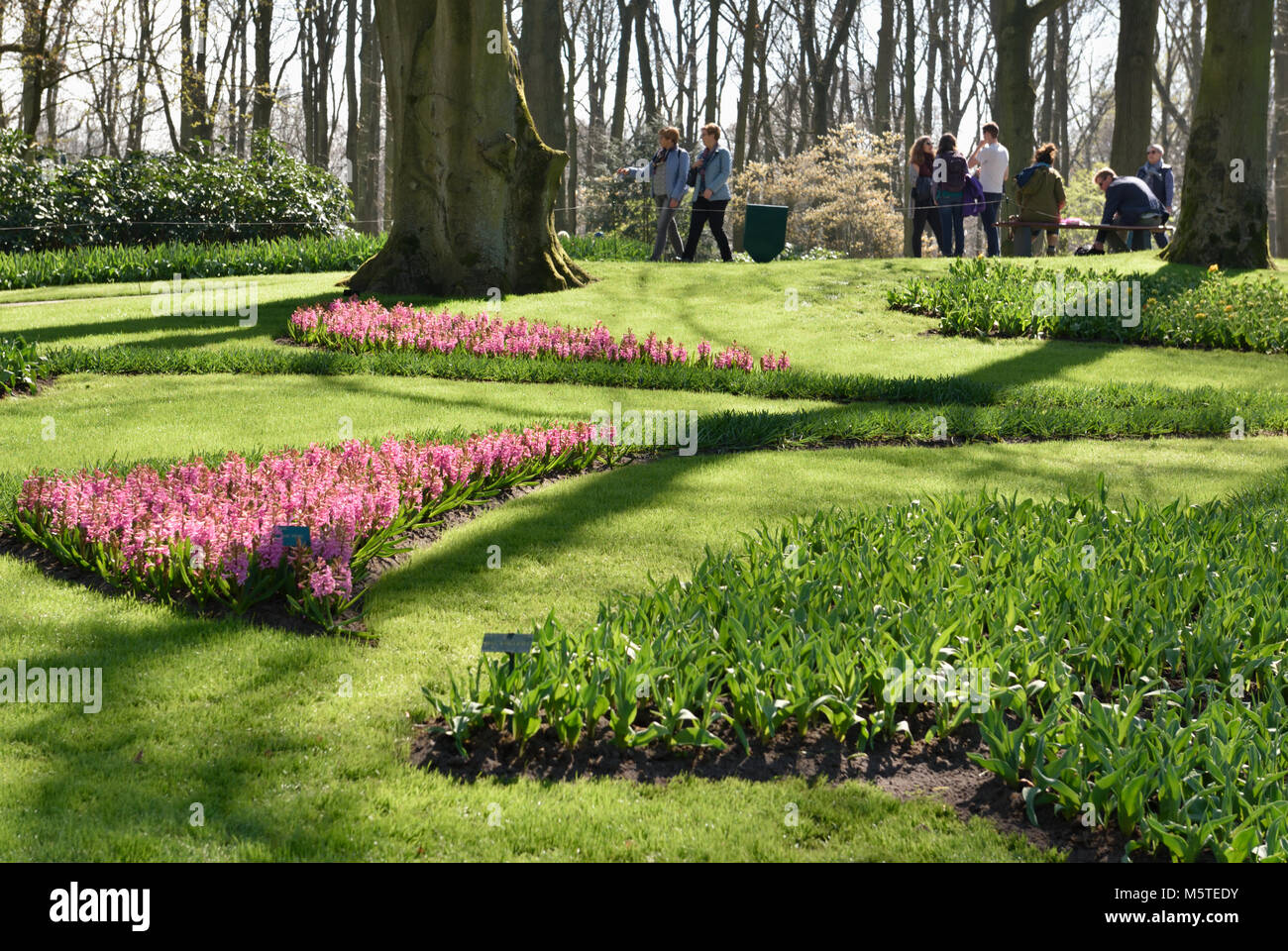 Keukenhof Gardens, Lisse, Holland Stock Photo - Alamy