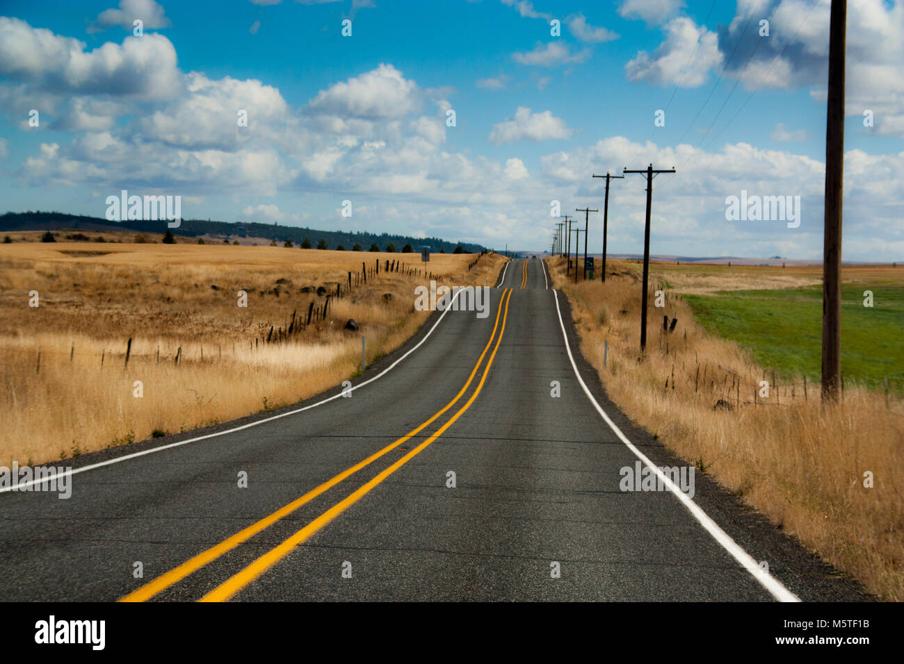 Colorful country road with a blue sky and golden green grass Stock ...