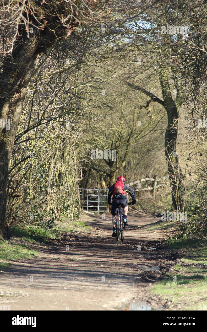 Lone tree arch hi-res stock photography and images - Alamy