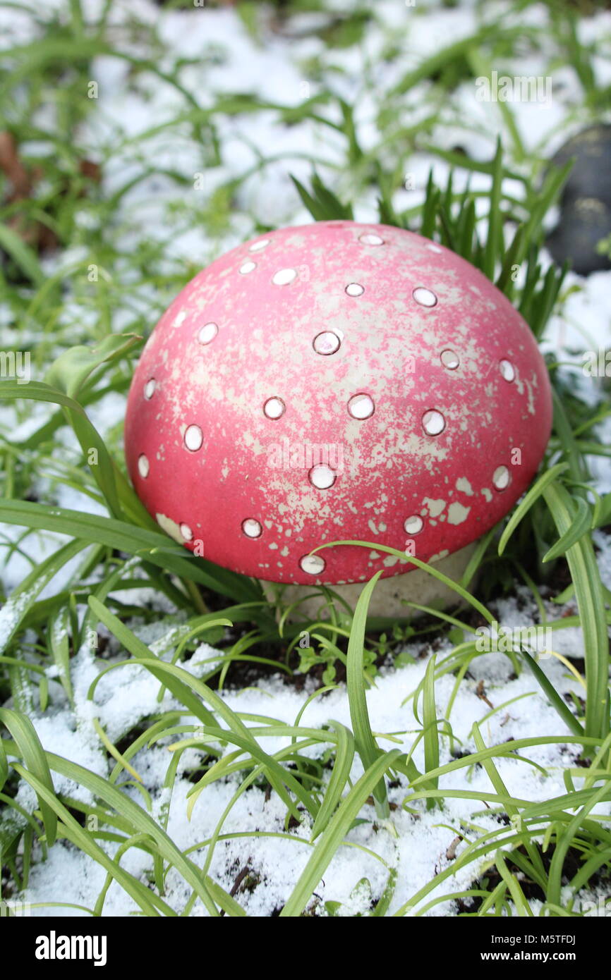 Toadstool garden ornament hi-res stock photography and images - Alamy