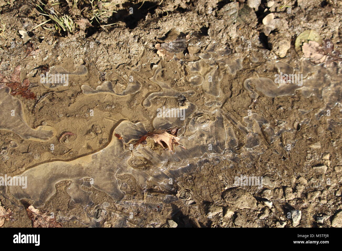 Photochemical decomposition hi-res stock photography and images - Alamy