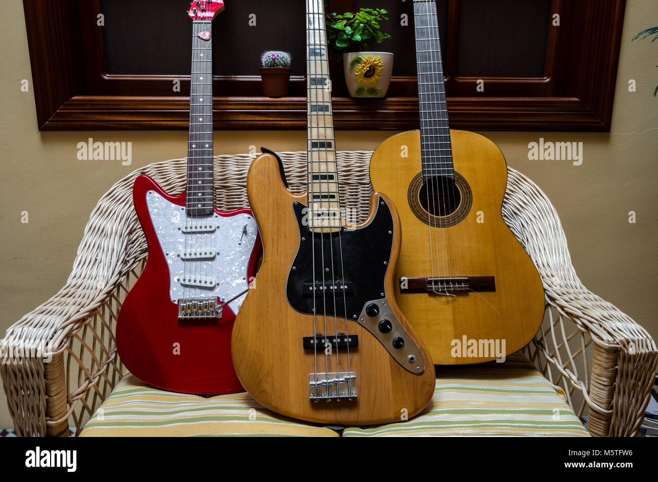 Group of three string musical instruments: classic or spanish guitar ...