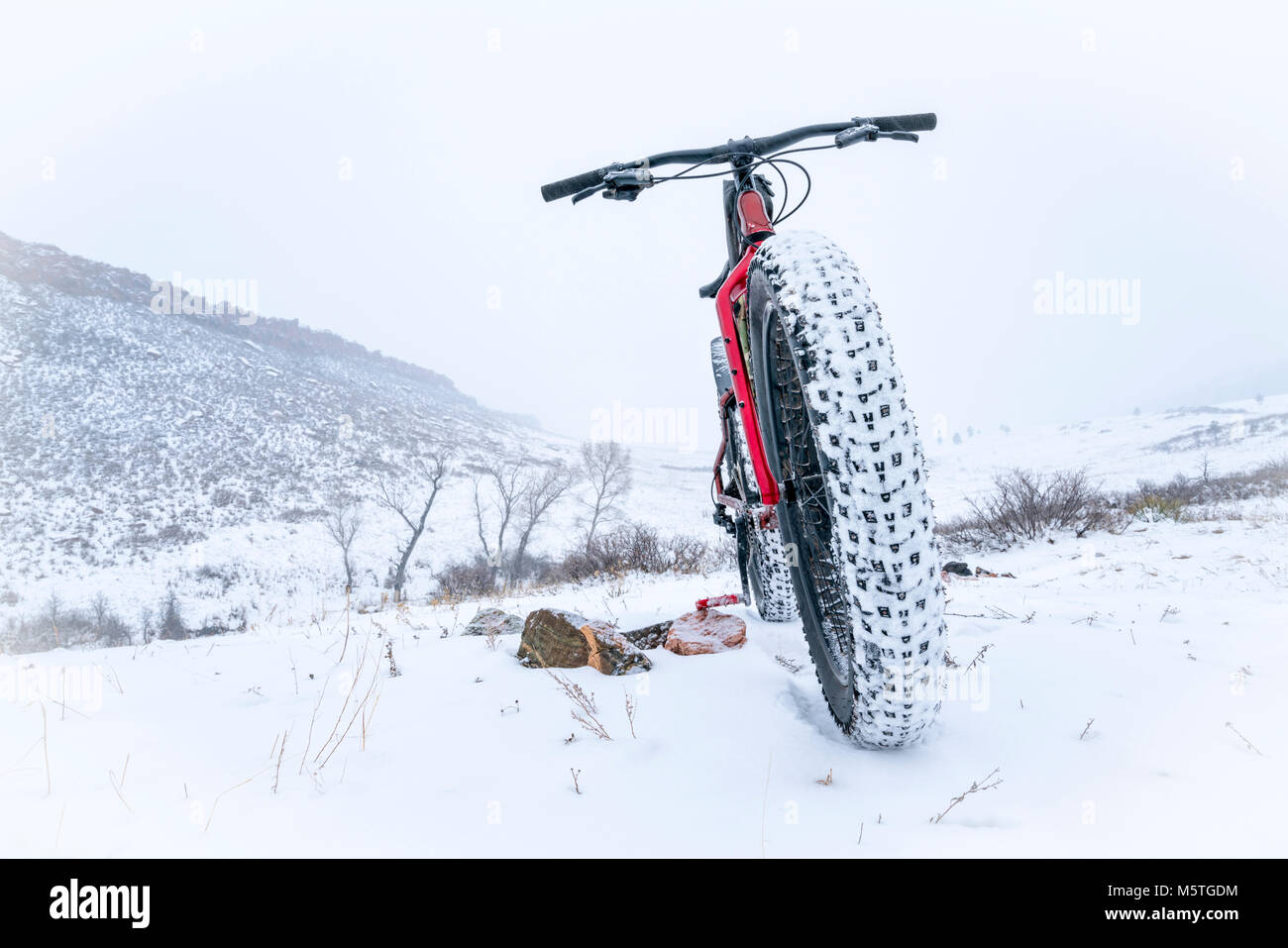 A fat bike in a snow blizzard at Colorado foothills - Lory State Park ...